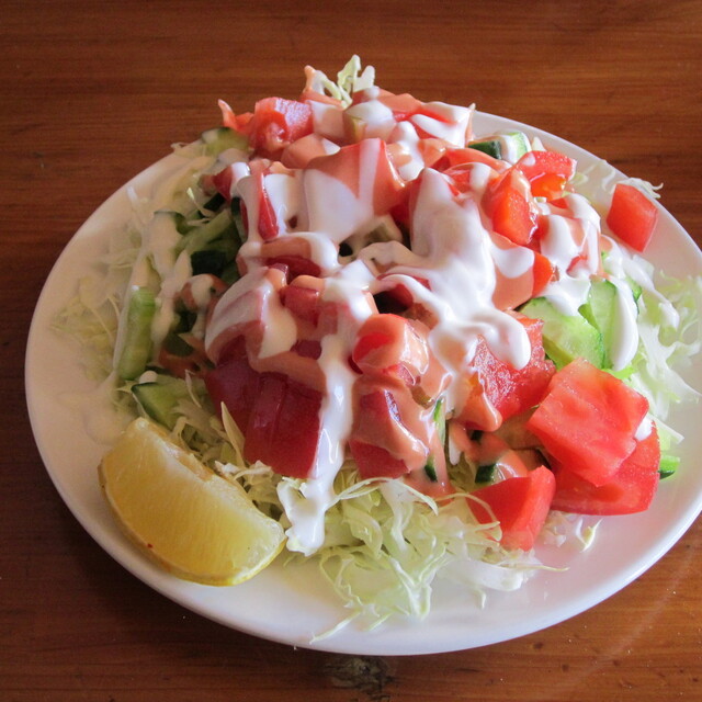 ジハン トルコ ケバブ レストラン フジエダ1 （Cihan turkish KEBAB Restaurant） - 藤枝/トルコ料理 | 食べログ