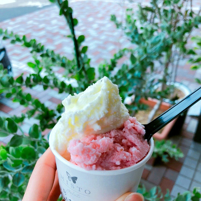 メニュー写真 : ミストジェラート （MISTO gelato） - 下土狩/ジェラート・アイスクリーム | 食べログ