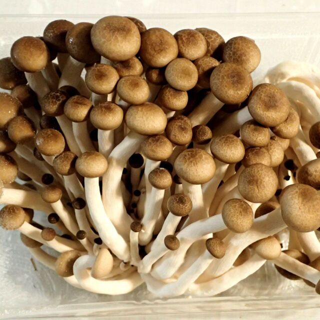 ベイシア 烏山店 （Beisia） - 烏山/コンビニ・スーパー | 食べログ