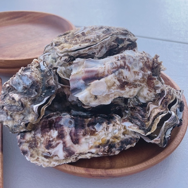 NANBU BBQ PARK （ナンブ バーベキュー パーク） - 南部市場/バーベキュー | 食べログ