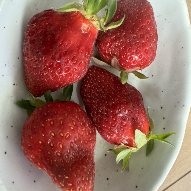 FARM STAND ABE （ファーム スタンド アベ） - 札幌市南区その他/カフェ | 食べログ