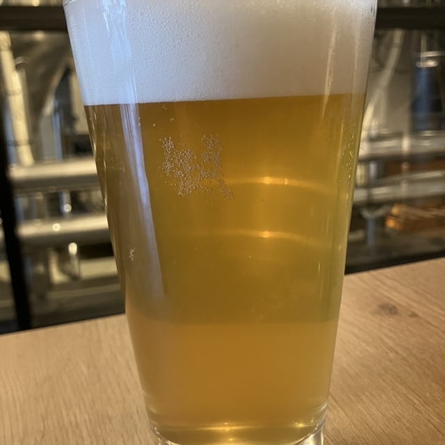 呑象ブリューイング （DONZO Brewing） - 琴平/ビアバー | 食べログ