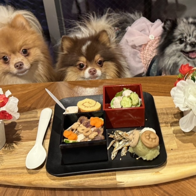 写真 : CAFEBAR LIL （カフェバーリル） - 代々木八幡/バー | 食べログ