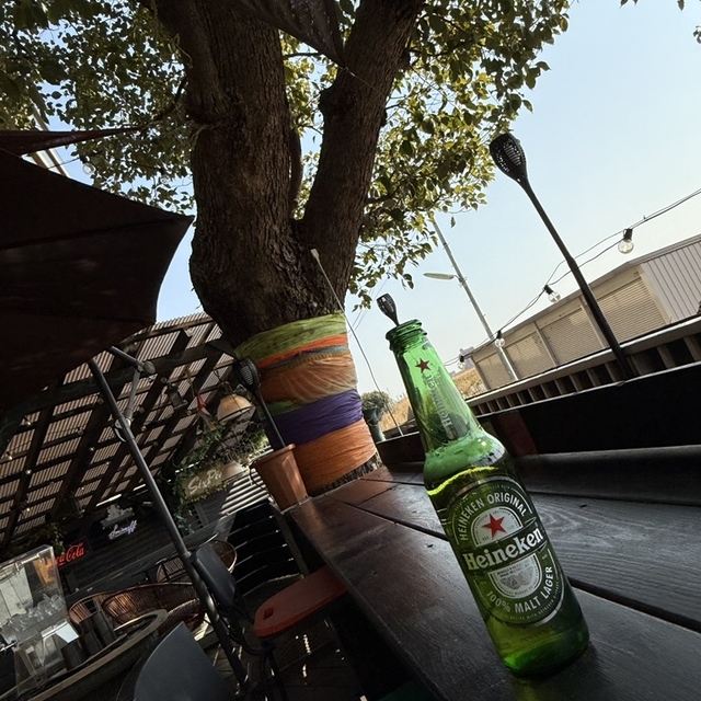 SIX PINE CAFE （シックス パイン カフェ） - 二子玉川/カフェ | 食べログ