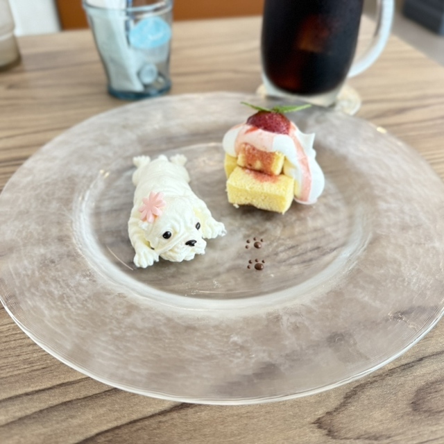 KAZU CAFE - 観音寺/カフェ | 食べログ