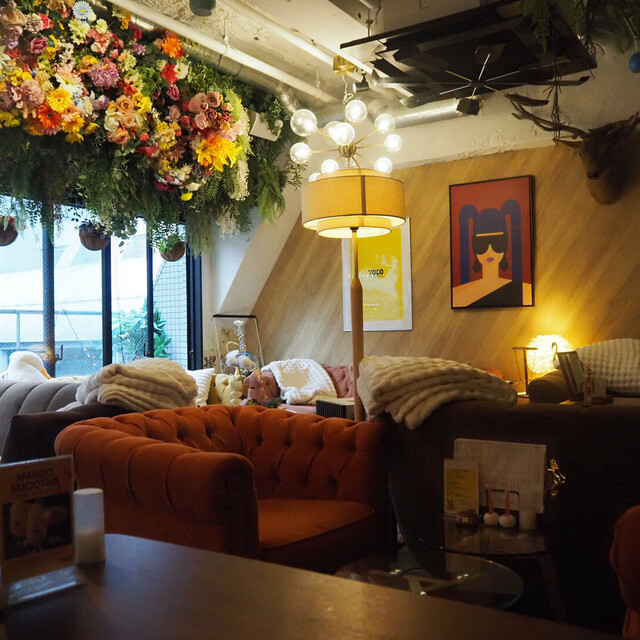 YOLO cafe&bar 渋谷 （【旧店名】YOLO cafe&shisha）のご予約 - 渋谷/ダイニングバー | 食べログ