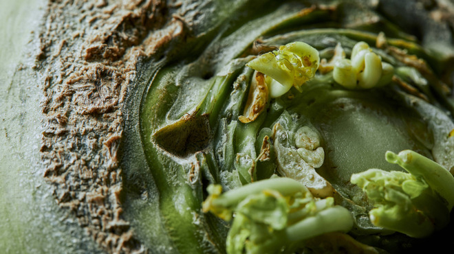 KEI Collection PARIS （ケイ コレクション パリ） - 虎ノ門ヒルズ/フレンチ | 食べログ