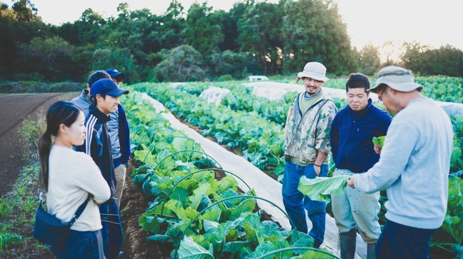 在来食堂のご予約 - 東銀座/レストラン | 食べログ