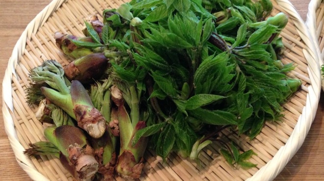 角壱 （KADO-ICHI） - 武蔵小山/天ぷら/ネット予約可 | 食べログ