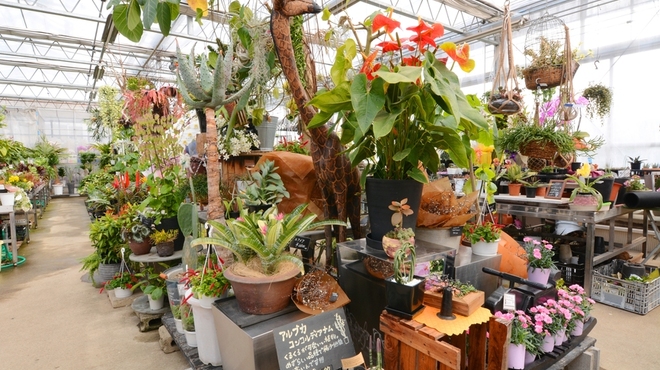 Boi Boi Pizza （ボイ ボイ ピッツァ） - 高畑/ピザ | 食べログ