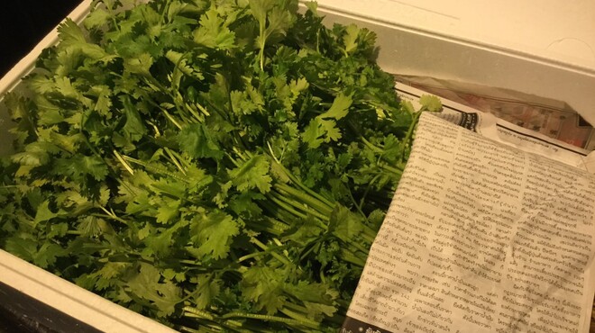 Bai toong （バイトーン） - 本山/タイ料理 [食べログ]