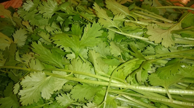 TARUTARU （タルタル） - 有楽町/タイ料理 [食べログ]