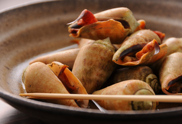 写真 : かとう - 堀詰/居酒屋 | 食べログ