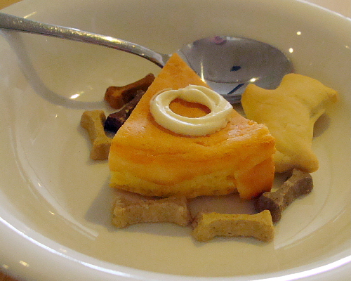 【移転】ドッグパークカフェ クラーレ 長野店 - 今井/パスタ | 食べログ