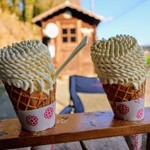 料理写真 : ついんスター - 菊池市その他/ジェラート・アイスクリーム | 食べログ