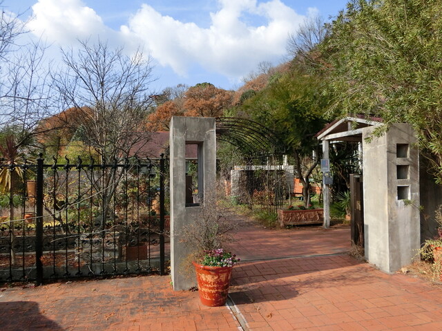 写真 : フェリーチェ （Felice） - 上の町/フレンチ | 食べログ