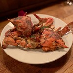 チニャーレエノテカ （Cignale ENOTECA ） - 神泉/イタリアン [食べログ]