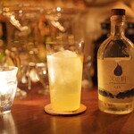 Ben Fiddich - Shinjuku/Bar | Tabelog