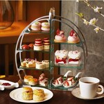 Flying Stag - 新大宮/バー [食べログ]