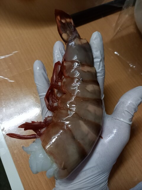 ROZAN - Yokkaichi/Western Cuisine [Tabelog]