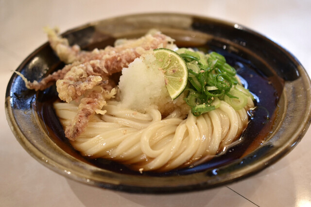 Men Chirashi - Meiji Jingumae/Udon (Wheat noodles) | Tabelog