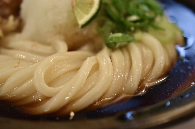 Men Chirashi - Meiji Jingumae/Udon (Wheat noodles) | Tabelog