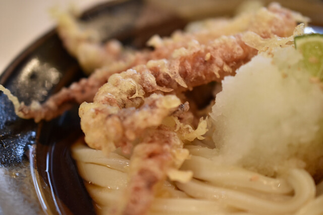 Men Chirashi - Meiji Jingumae/Udon (Wheat noodles) | Tabelog