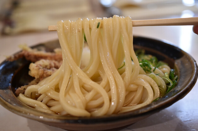 Men Chirashi - Meiji Jingumae/Udon (Wheat noodles) | Tabelog