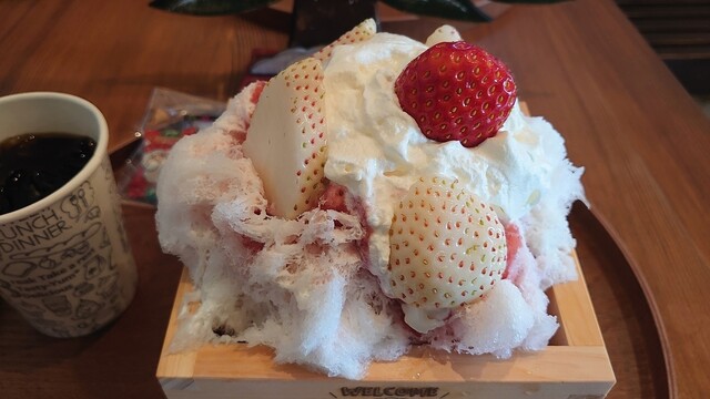 口コミ一覧 : pig berry （ピックベリー） - 西川田/洋菓子 [食べログ]