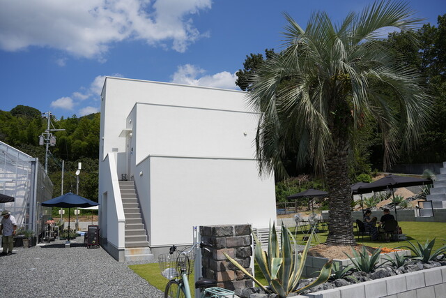 『テラス席で頂くヴィーガンピザ BOTANICAFE！！』by ＠すすむ : BOTANICAFE （ボタニカフェ） - 高島/カフェ [食べログ]