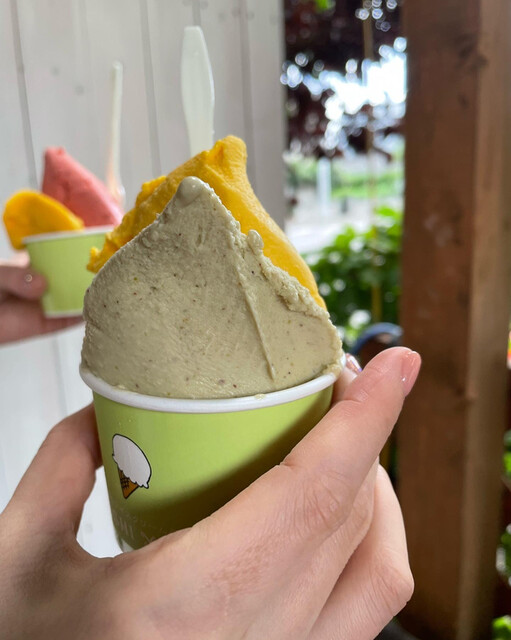 YOSHI YOSHI （ヨシヨシ） - 発寒南/ジェラート・アイスクリーム | 食べログ