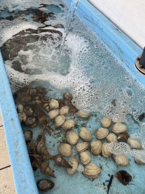 写真 : 三八食堂 - りんくう常滑/居酒屋 | 食べログ