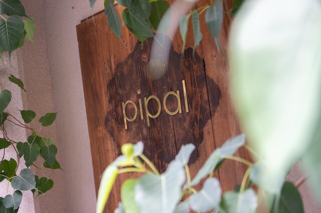 料理写真 : ピパル （pipal） - 神泉/ビストロ | 食べログ