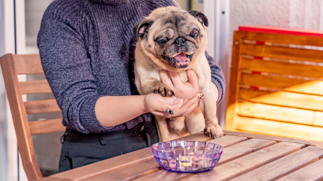 AGU cafe （アグカフェ） - 高速神戸/カフェ | 食べログ