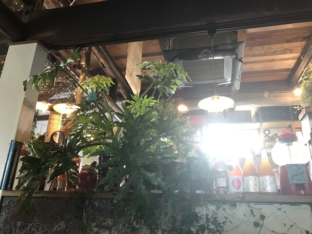 『今井町のムーディーカフェ』by tabitito : ハックベリー （Hackberry） - 八木西口/カフェ [食べログ]