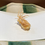 天ぷら はせ川 - 新潟/天ぷら | 食べログ