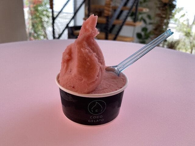 COCO GELATO sapporo （ココ ジェラート サッポロ） - 平和/ジェラート・アイスクリーム | 食べログ