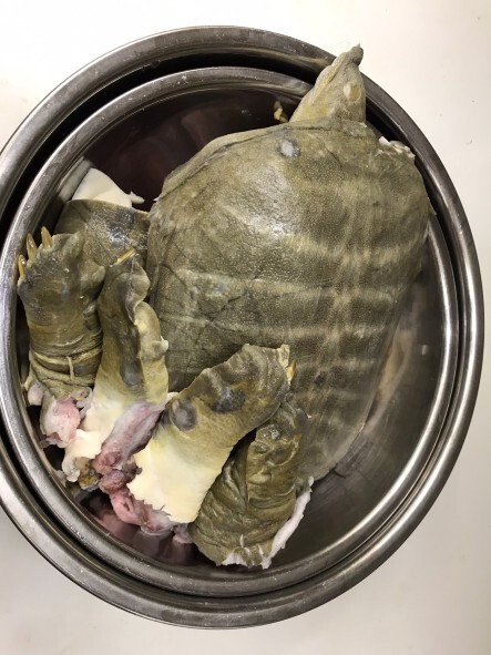 写真 : OTE2 （オテツー） - 祇園/居酒屋 | 食べログ