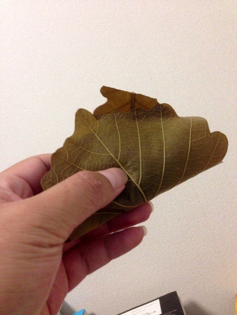 駒形 桃園 （こまがた ももぞの） - 静岡/和菓子 | 食べログ