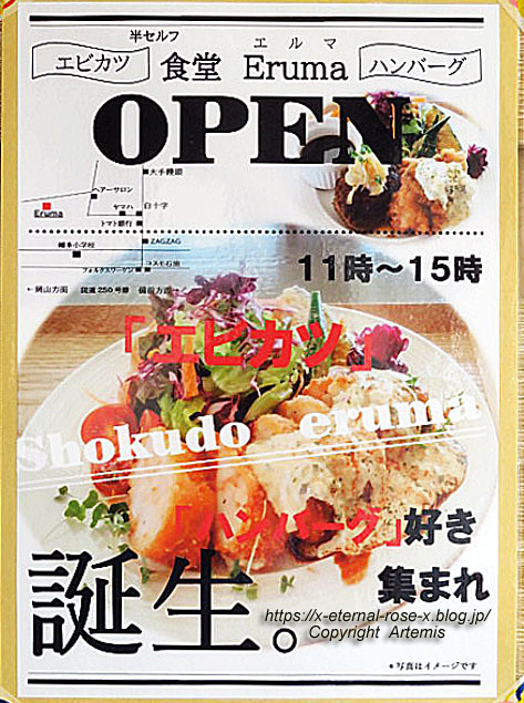 『新オープン エビカツとハンバーグの 食堂Eruma（エルマ）エビカツ定食 ハンバーグとチキン南蛮定食 : Eternal Rose ...