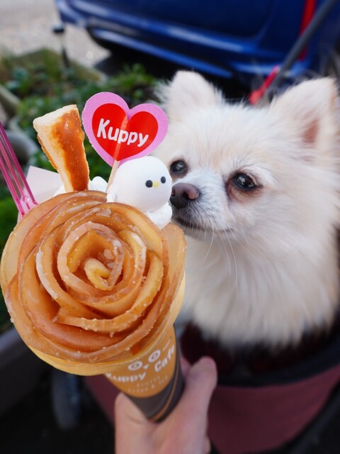 口コミ一覧 : 愛知クレープ Kuppy Cafe （クッピー カフェ） - 前後/クレープ・ガレット [食べログ]