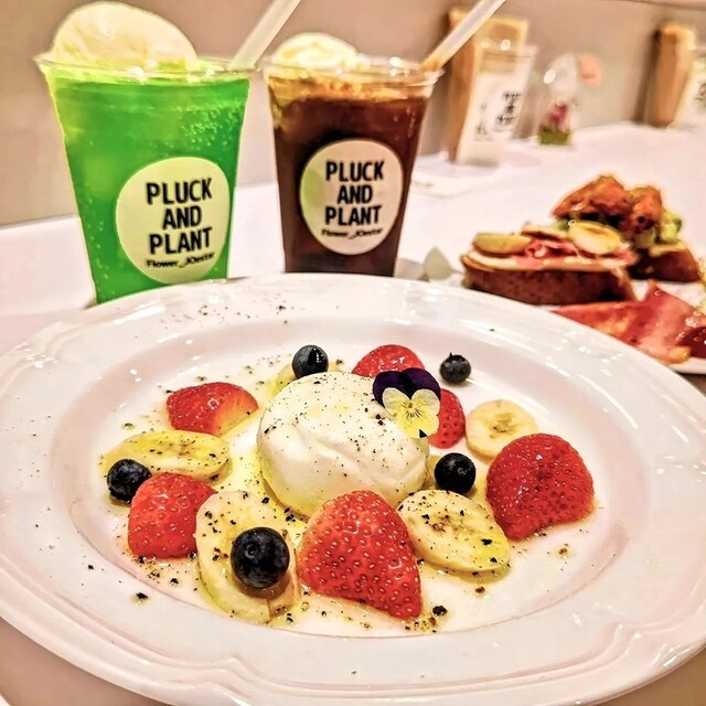 【閉店】PLUCK AND PLANT （プラックアンドプラント） - 池尻大橋/ビストロ | 食べログ