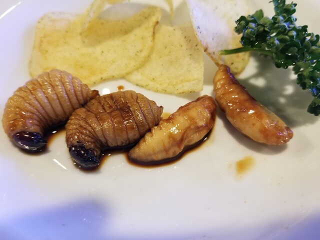 『昆虫食』by pesca-01 : Axanthic 静岡本店 （アザンティック） - 日吉町/バル [食べログ]