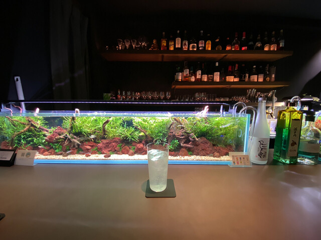 BAR AQUA CAVE （バー アクアケイブ） - 東中野/バー | 食べログ