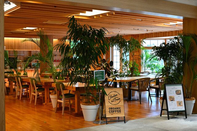 Under the Tree （アンダーザツリー） - 新宿御苑前/カフェ | 食べログ