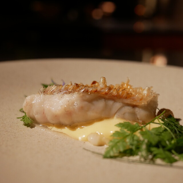 SOWER （ソウア） - 永原/創作料理 | 食べログ