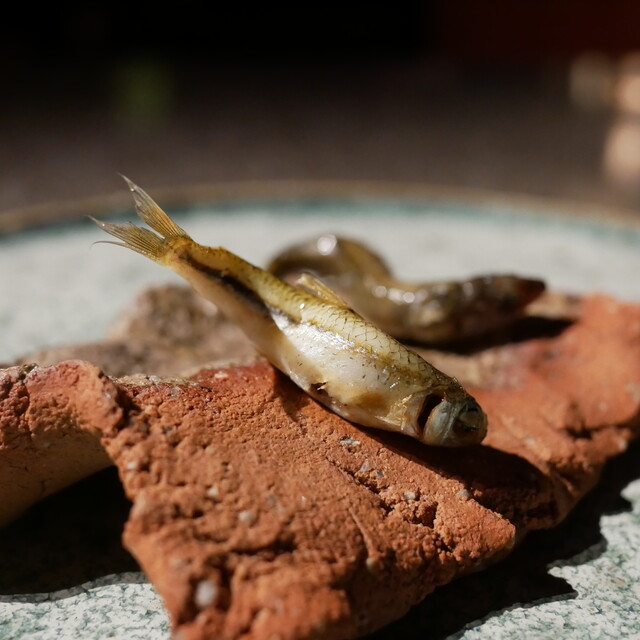 SOWER （ソウア） - 永原/創作料理/ネット予約可 | 食べログ