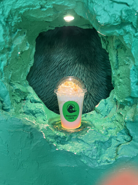 ANAKUMA CAFE 原宿店 （アナクマ カフェ） - 原宿/カフェ | 食べログ