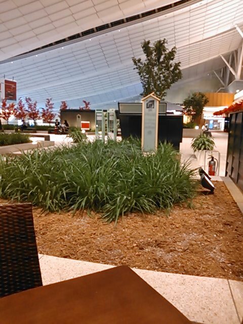 内観写真 : CAFE CARDINAL （カフェ カーディナル） - 羽田空港第3ターミナル（東京モノレール）/カフェ | 食べログ