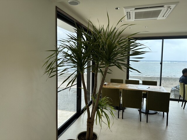 JIGORO OCEAN （ジゴロ オーシャン）のご予約 - 石垣市/創作料理 | 食べログ